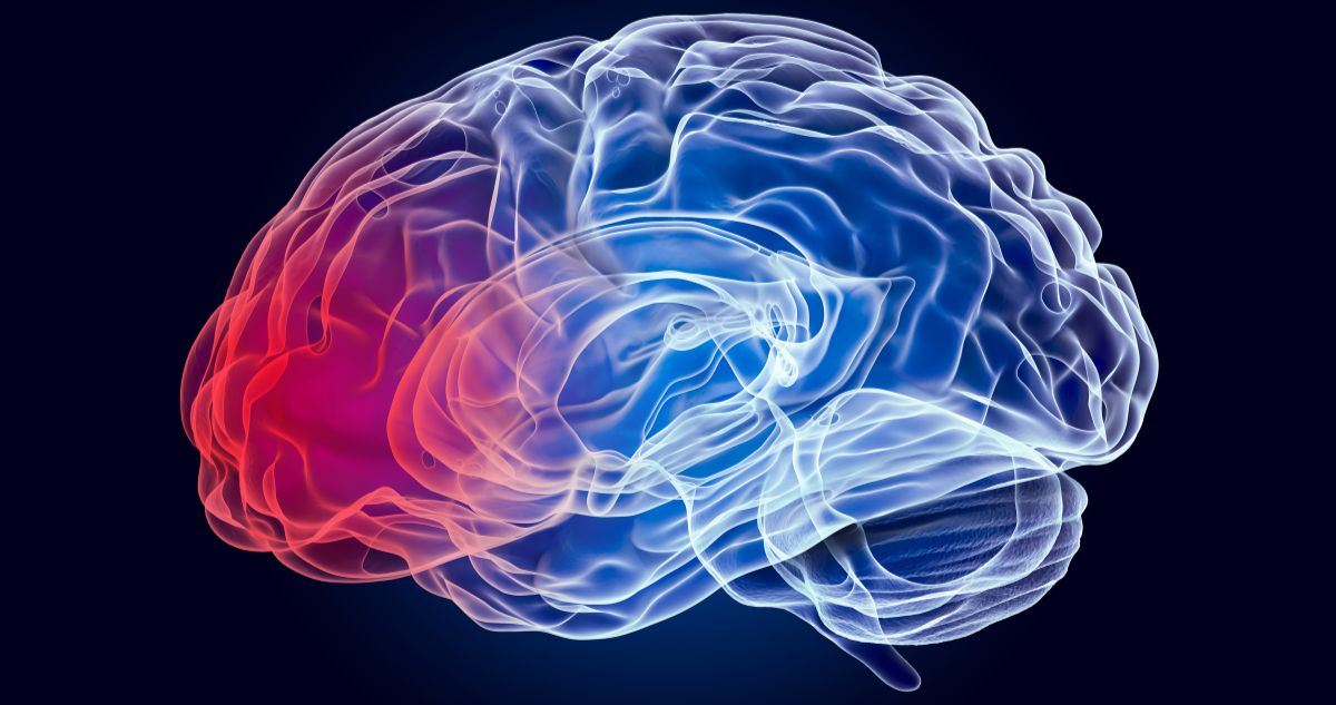 Study finds concussion ‘worsens brain function’ | Headway Study finds concussion ‘worsens brain function’ | Headway