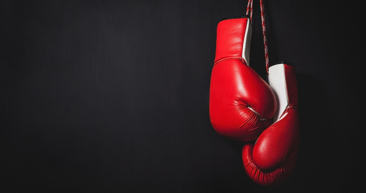 Elevated concussion risk in boxers compared with other combat sports ...