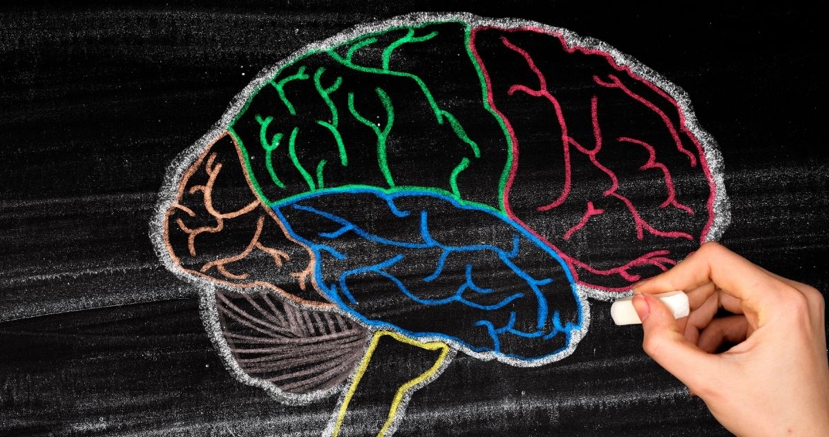 Executive dysfunction explained | Headway